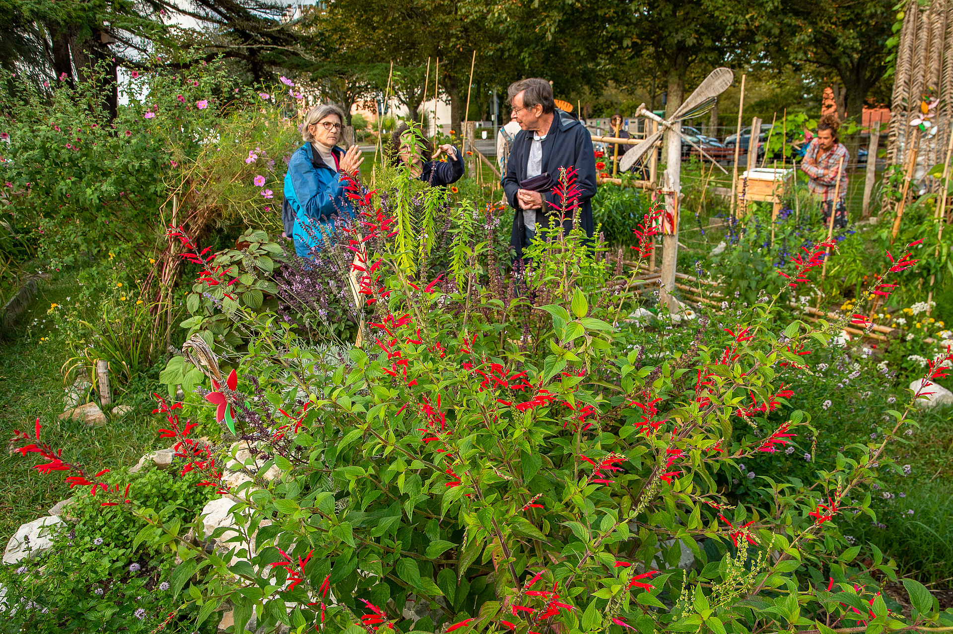 Cultiver en ville, c'est possible ! - Ville de Bayonne
