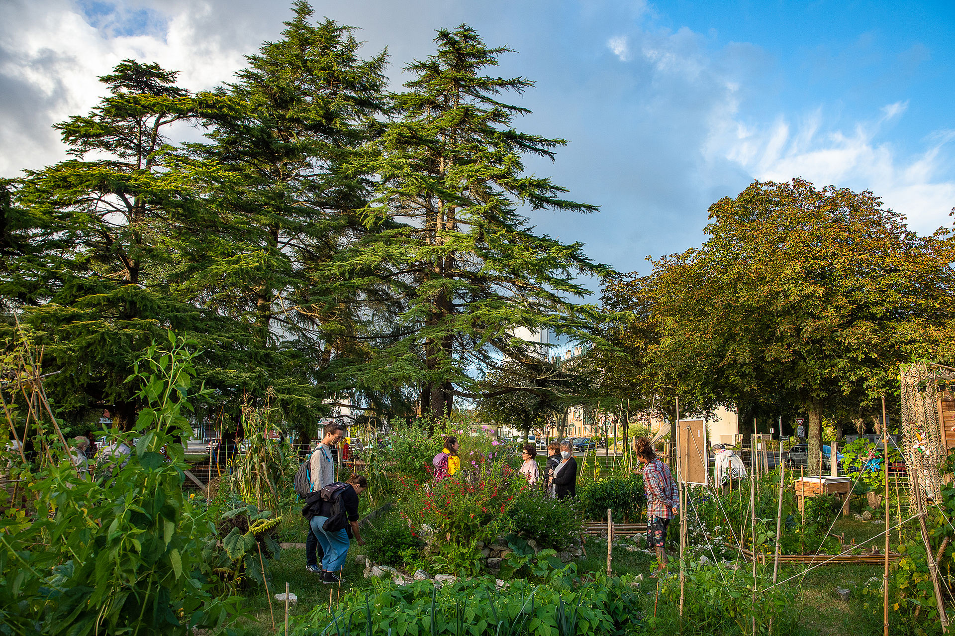Cultiver en ville, c'est possible ! - Ville de Bayonne